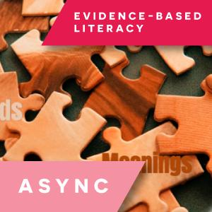 Bridging Word Recognition and Comprehension through Vocabulary and ...